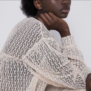 Zara | Tops | Zara Embroidered Tulle Top | Poshmark